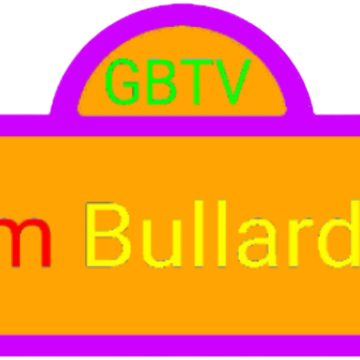 Post from Graham Bullard The BFDI Master