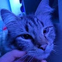 Post from MikeyM and Fluffy Main Productions 2025