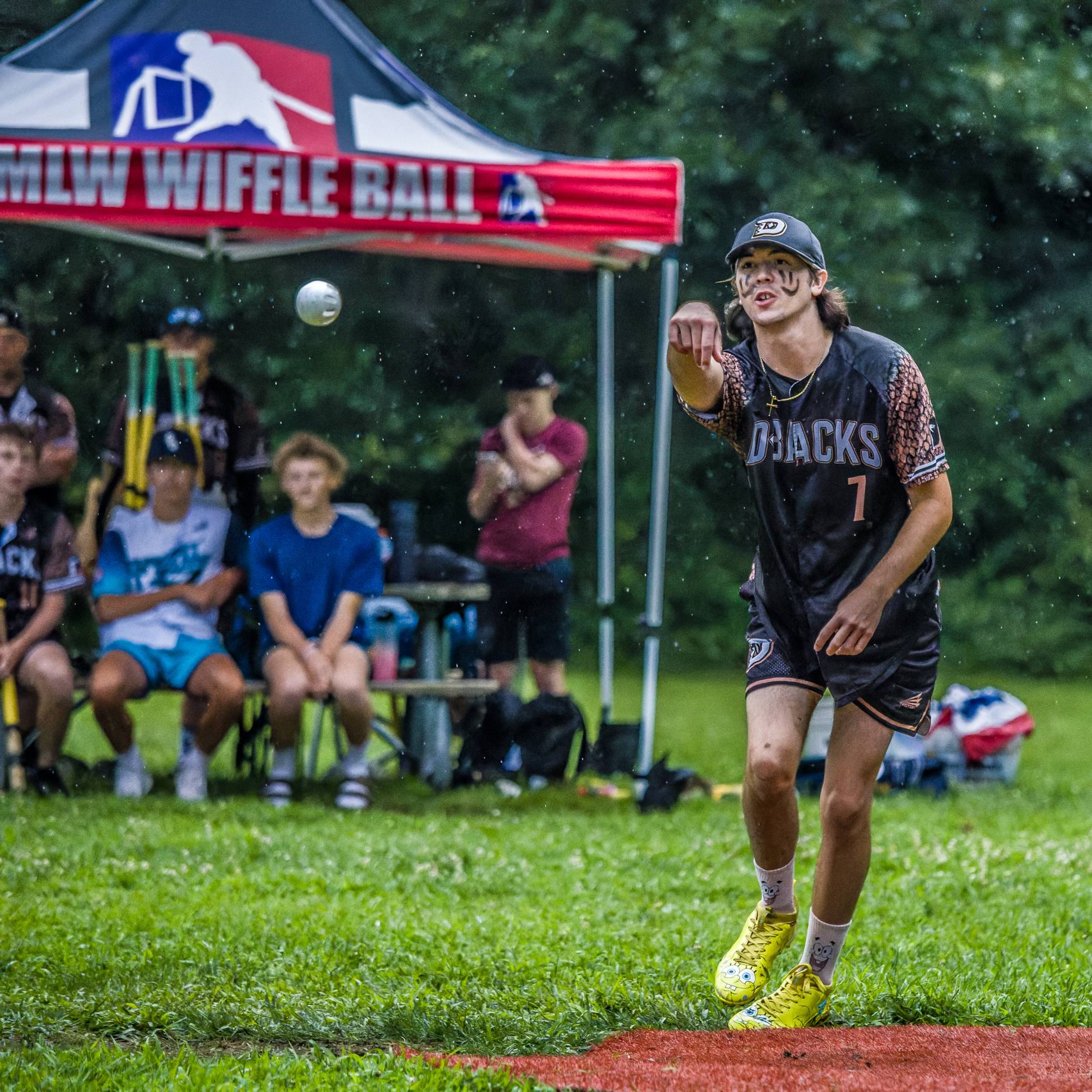 Post from MLW Wiffle Ball