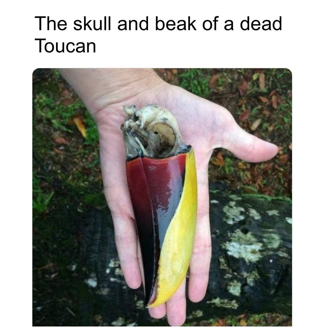 Post from Forevergreen