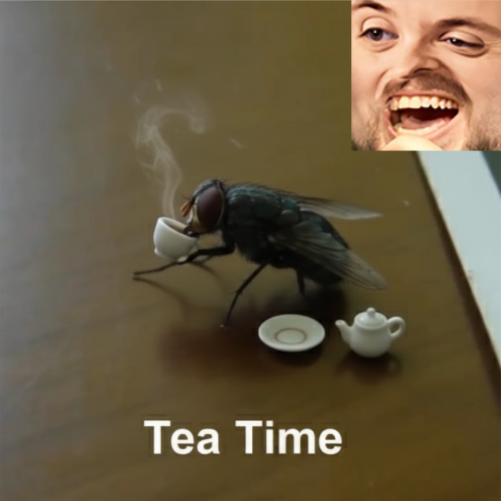 Post from Forsen Poro Box (Bugnio)