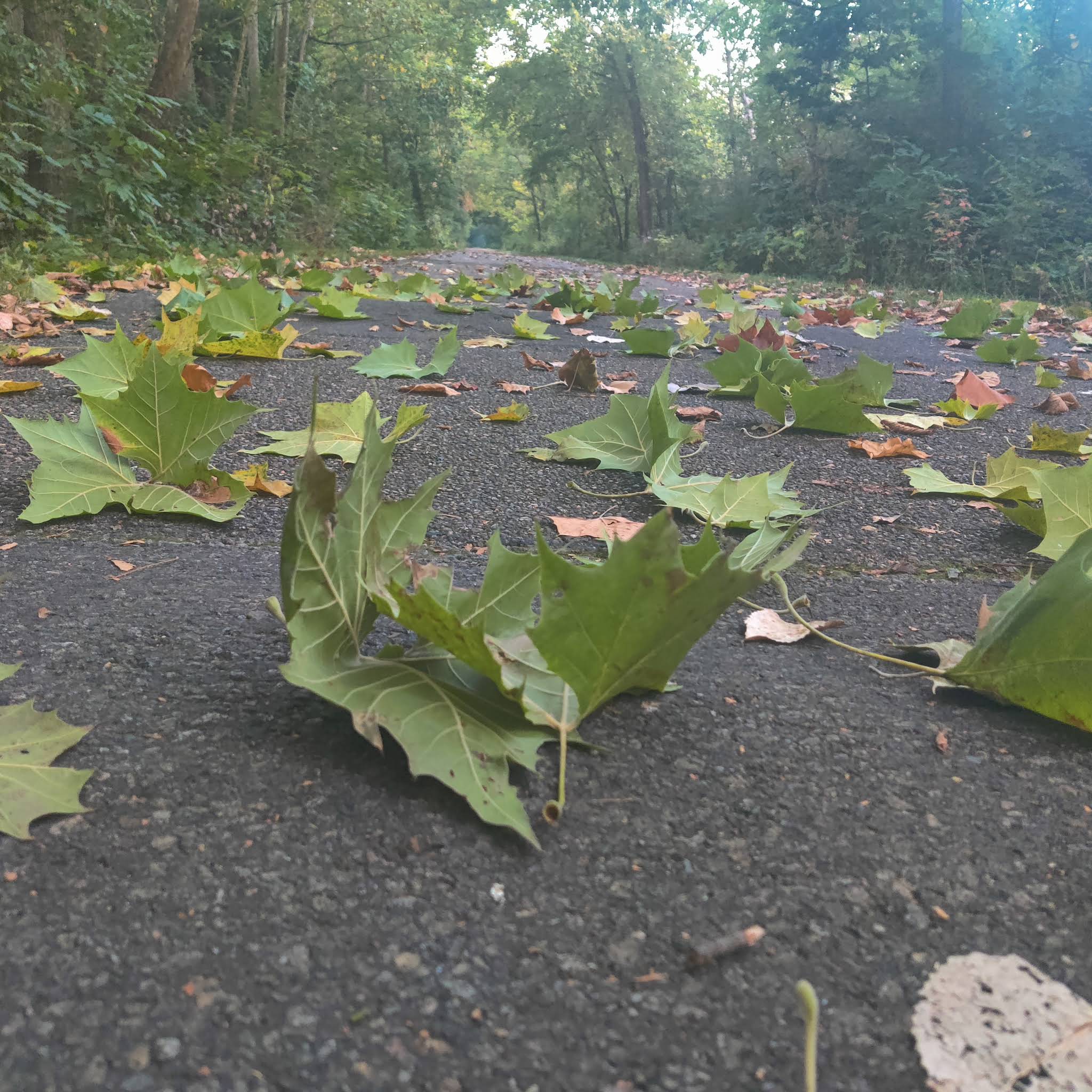 Post from Lova FireCloud