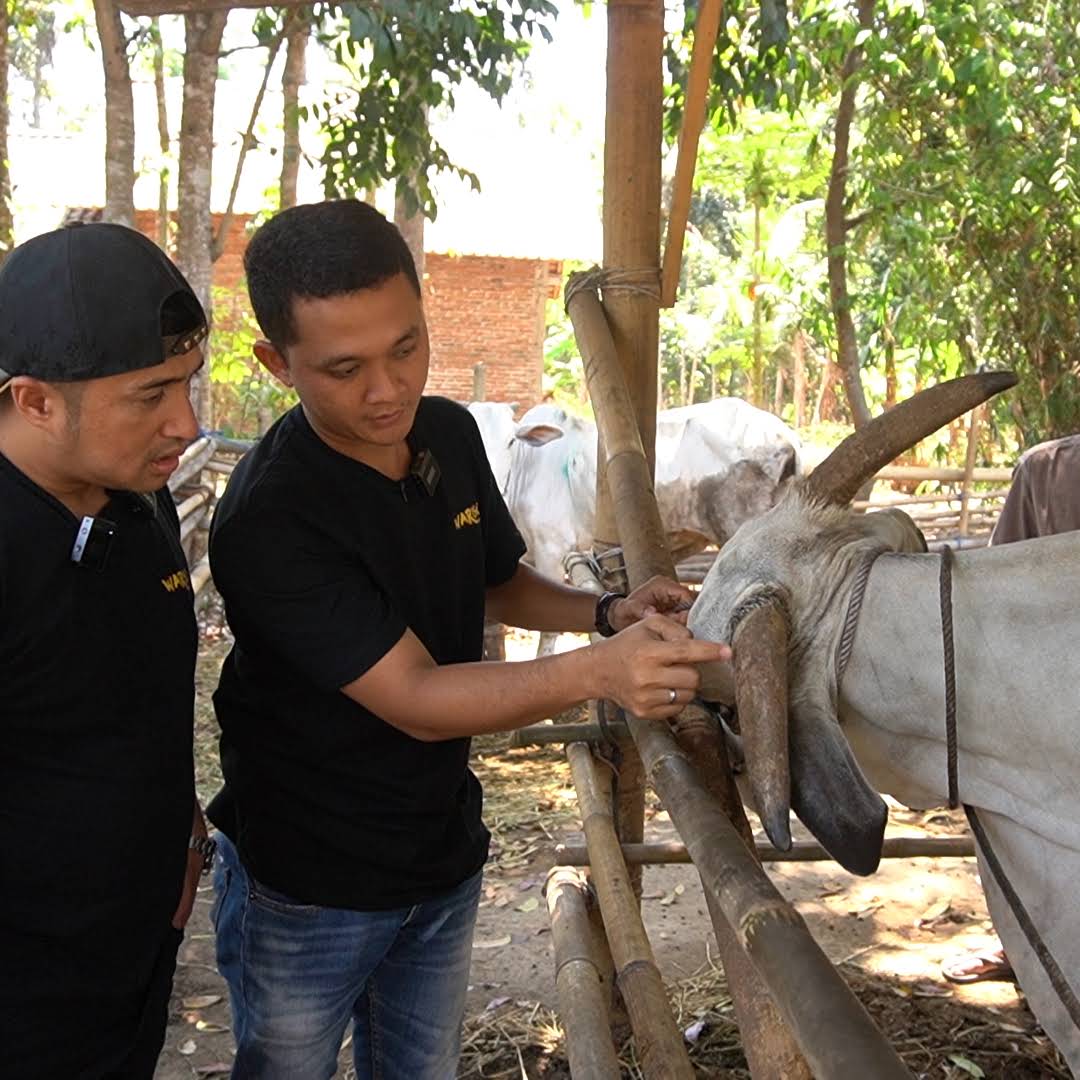 Post from Setia Farm