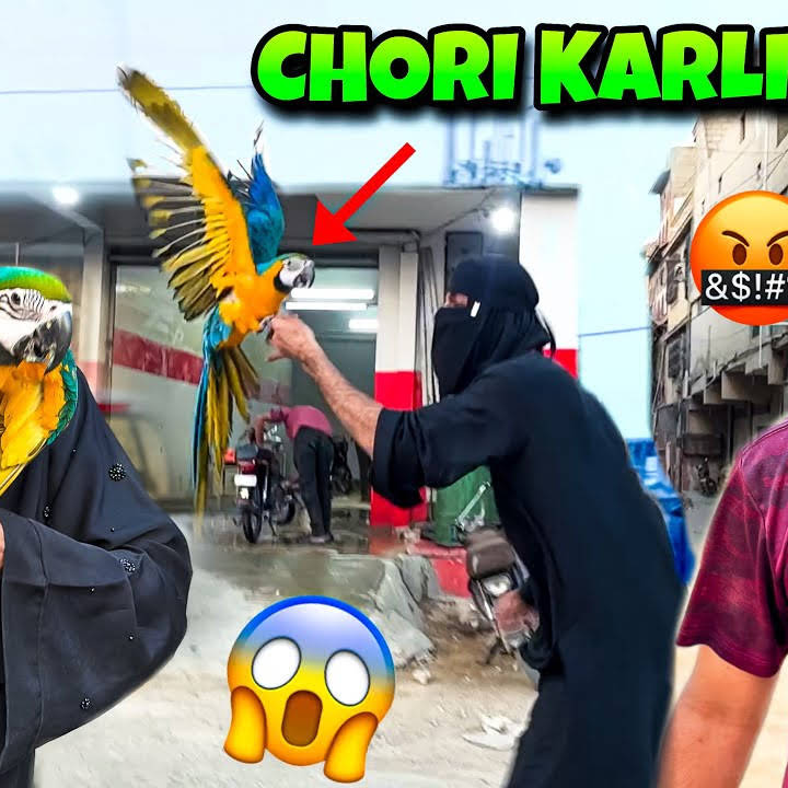 Post from The Fun Fin