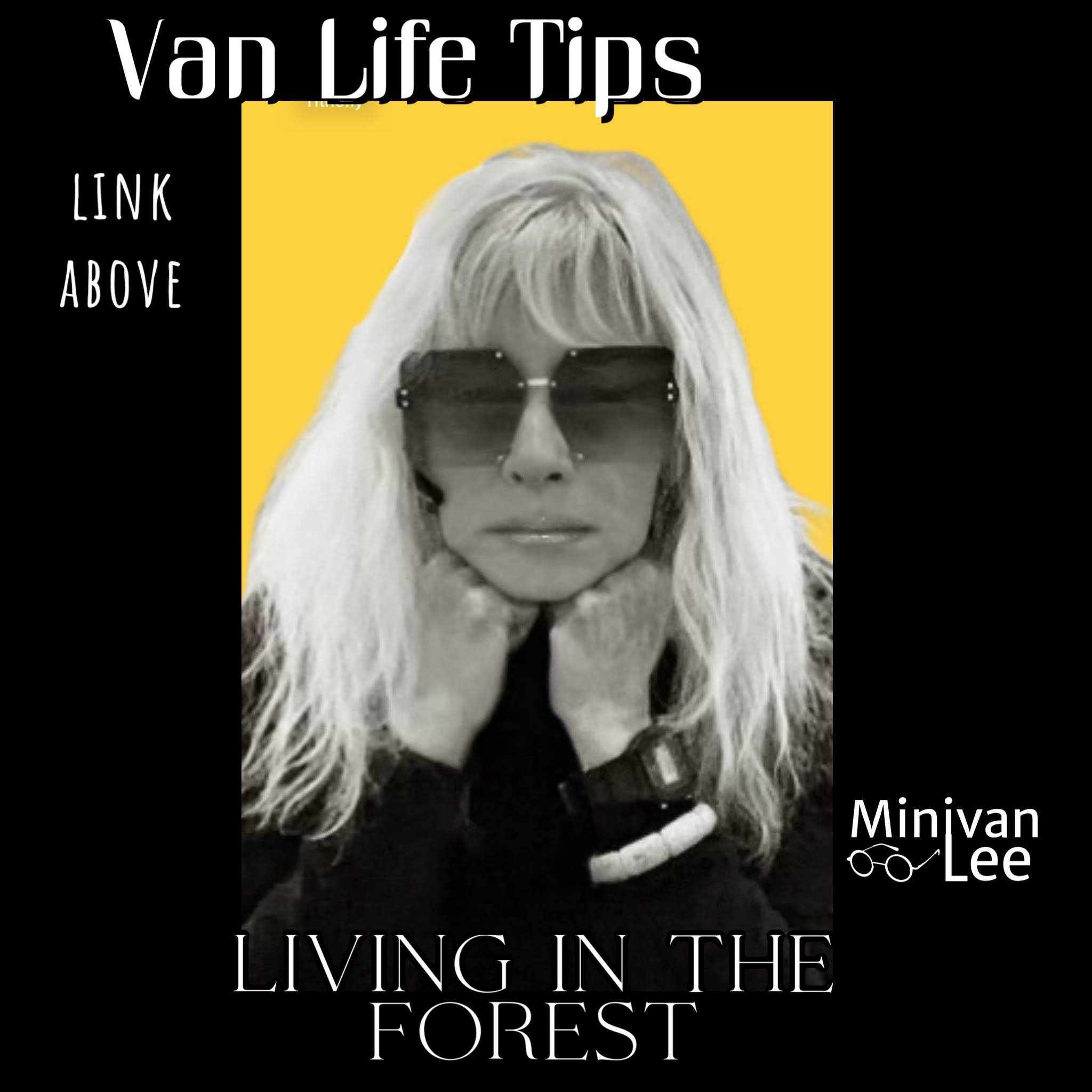 Post from The Minivan Lee Show