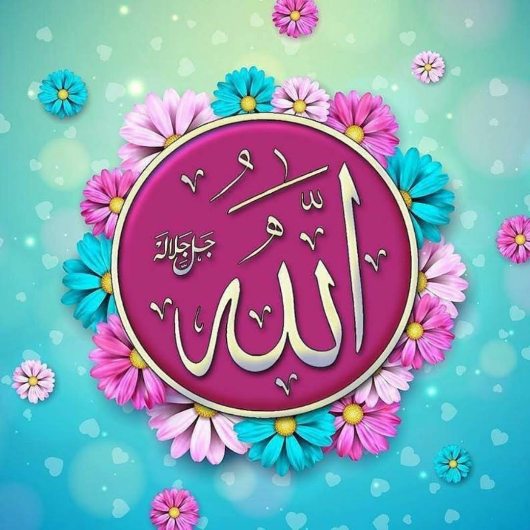 Post from abid Official