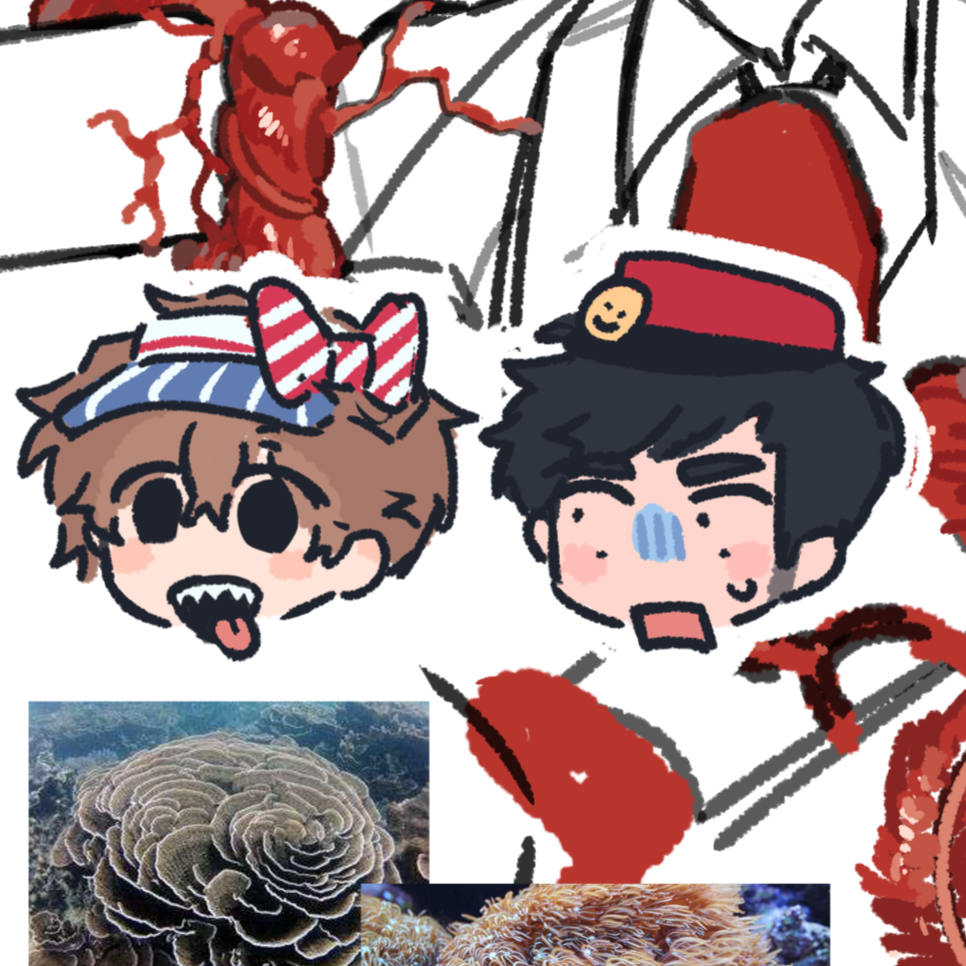 Post from ⚠️ Mais