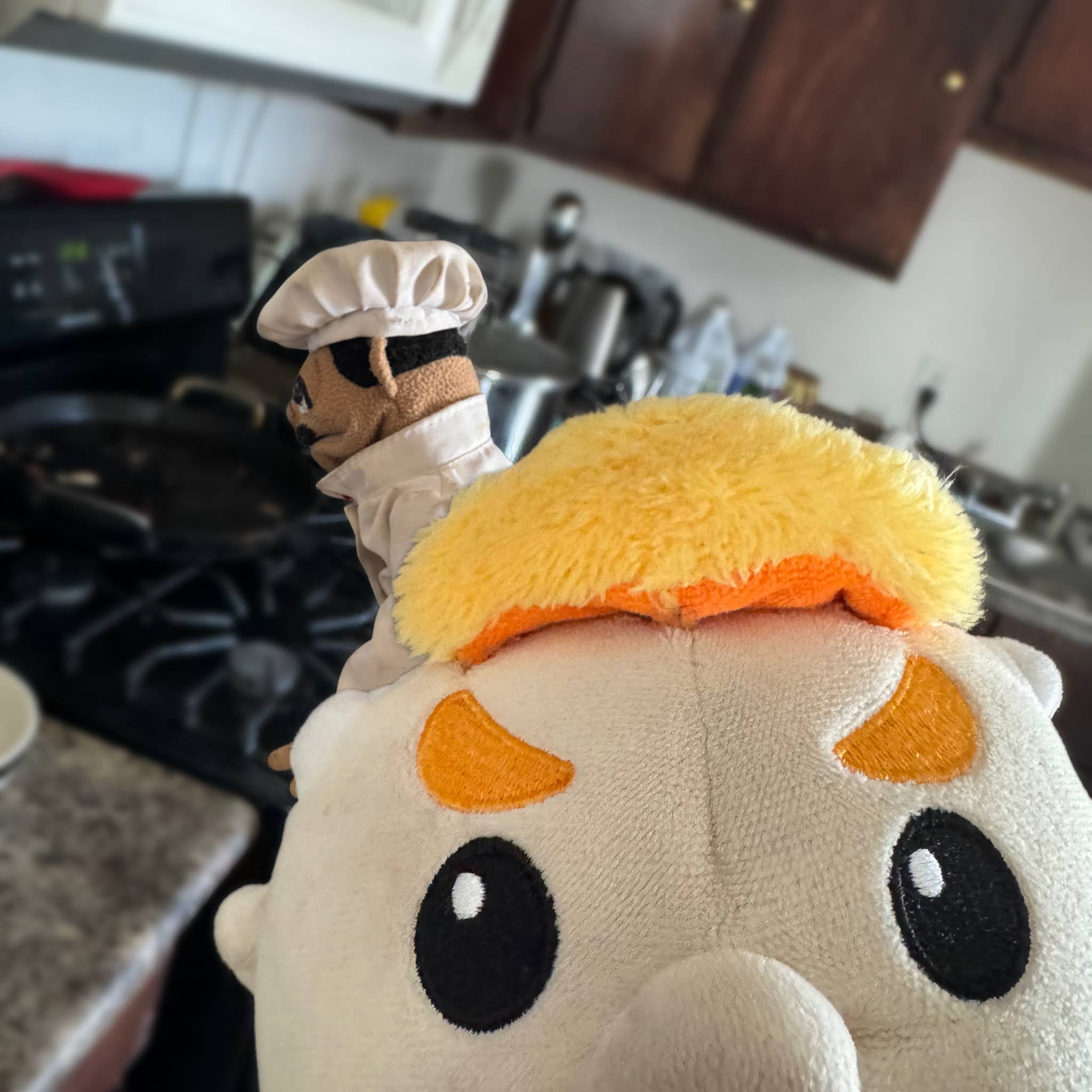 Post from THE CHEF PUPPET OFFICIAL