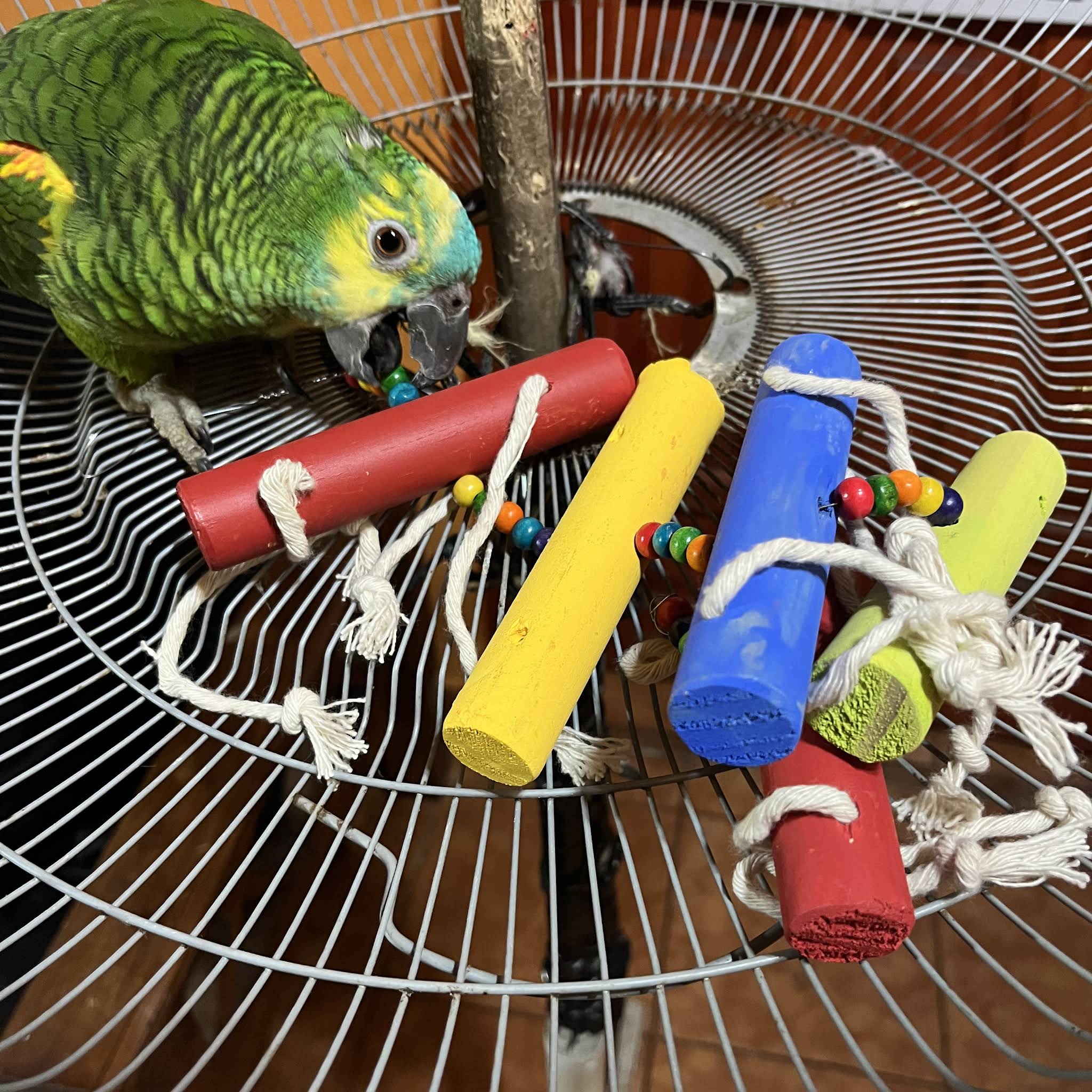 Post from El Carlitos Loro