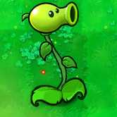 Post from Zack The Turtle