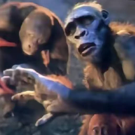 Post from Mr. Dizzle