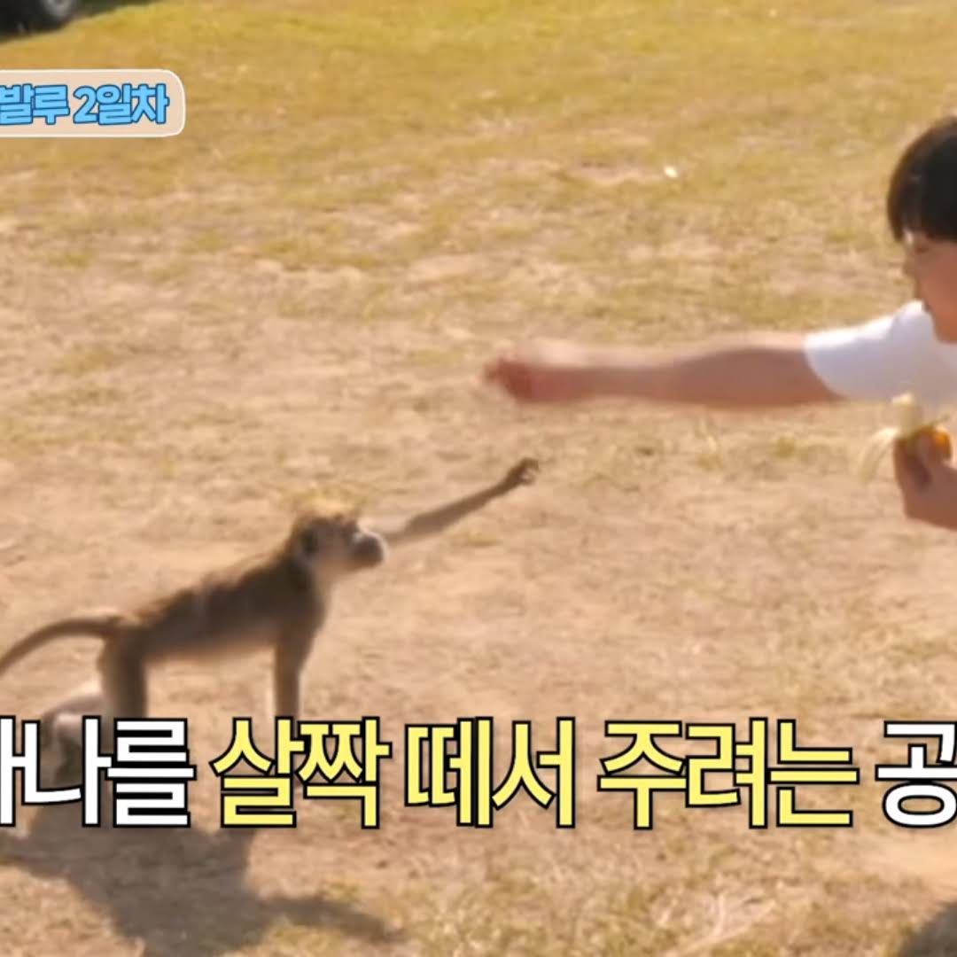 Post from 대생 Daesaeng