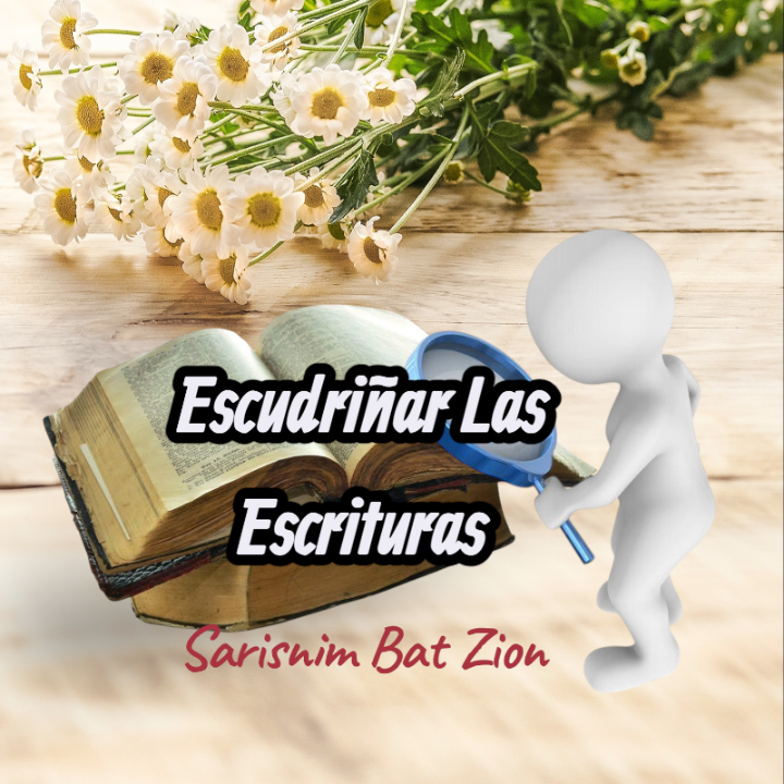 Post from Sarisnim Bat Zion