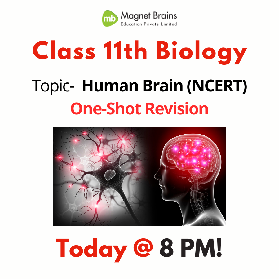 Post from Magnet Brains