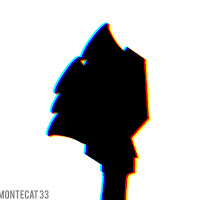 Post from Montecat 33