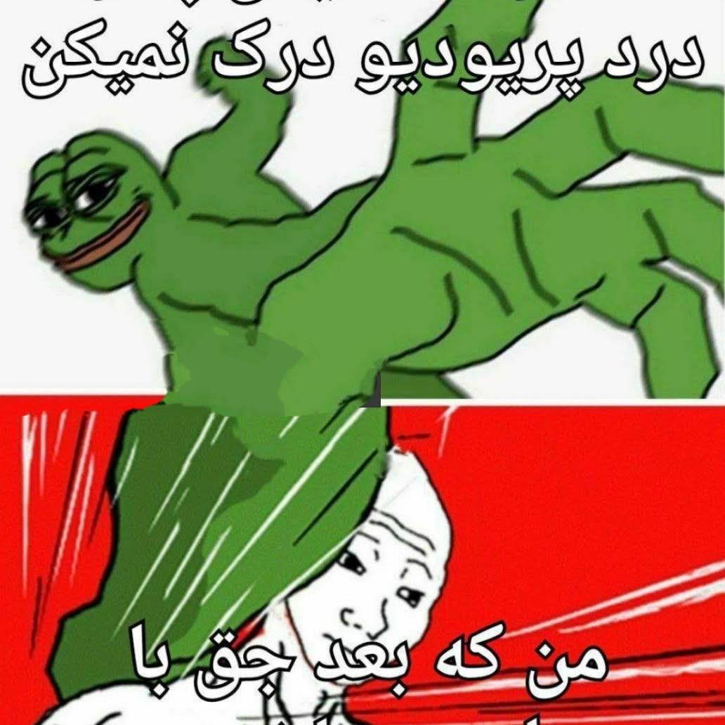 Post from Persian Shorts