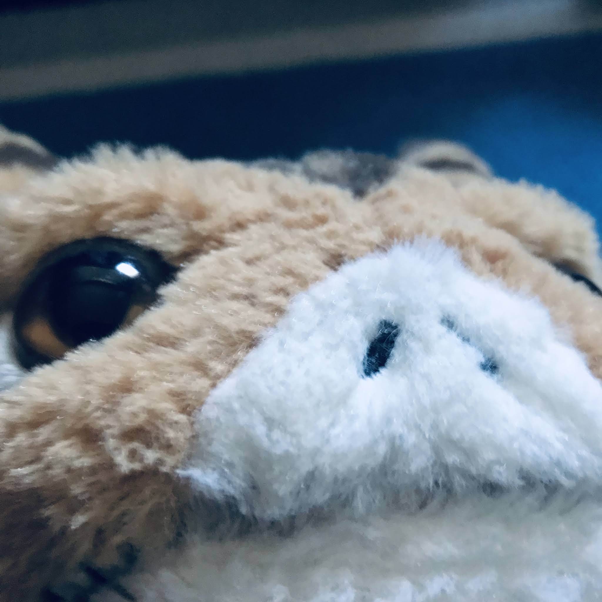 Post from mugbread
