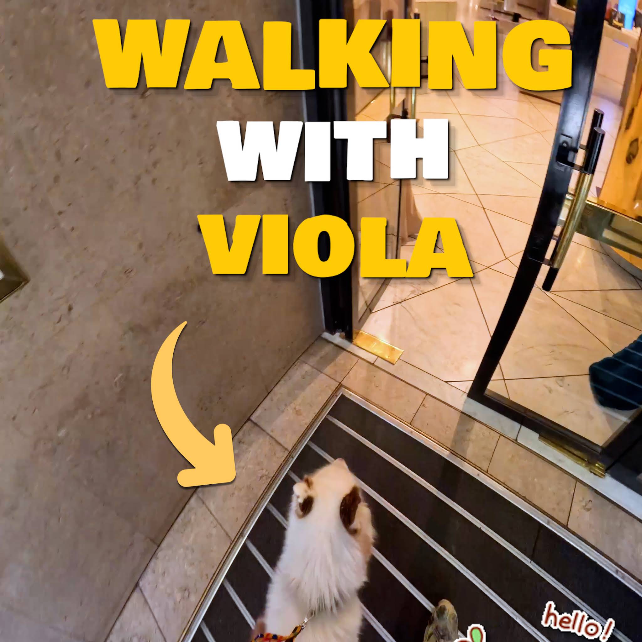 Post from Viola Snow