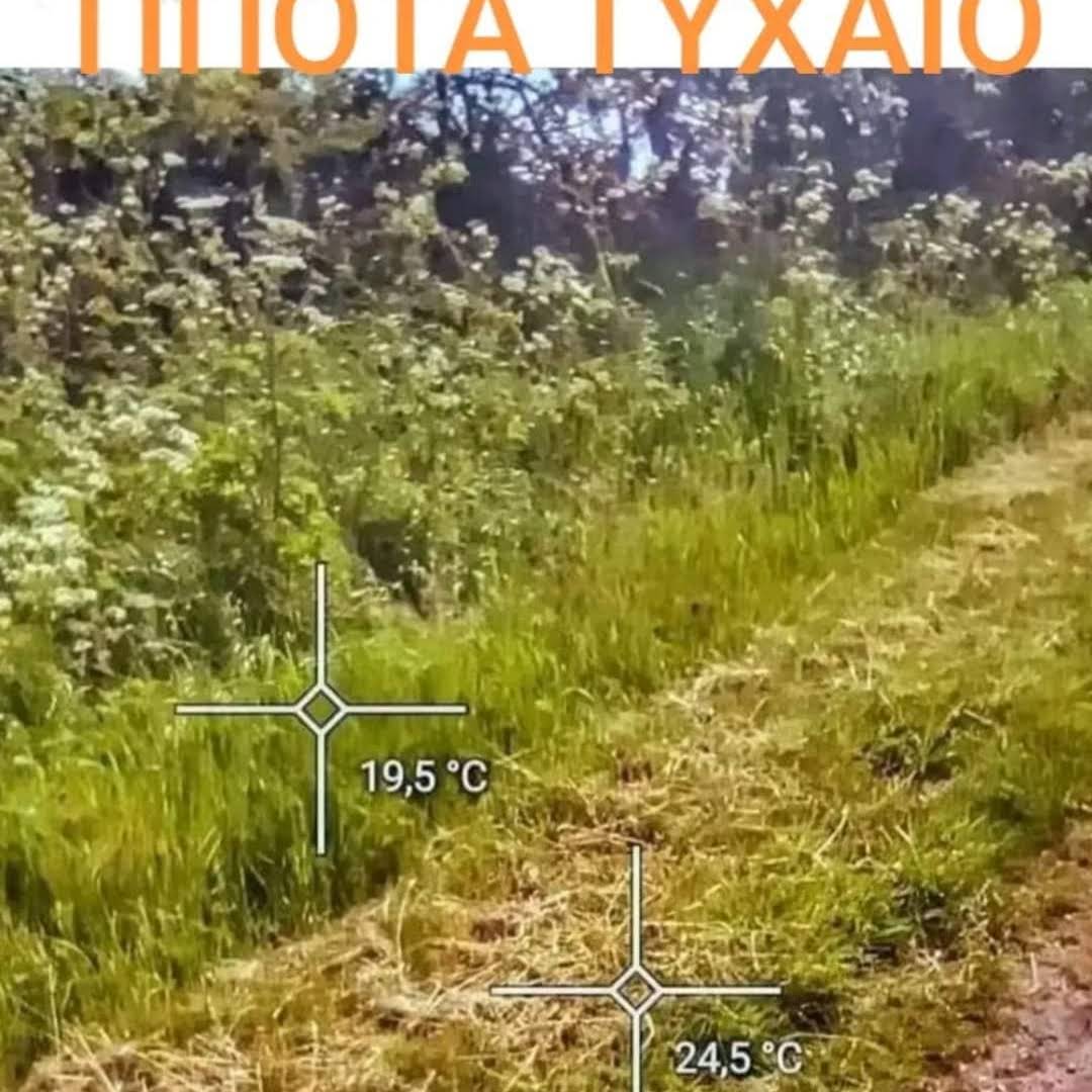 Post from Panagiotis Pavlidis Survival Skills