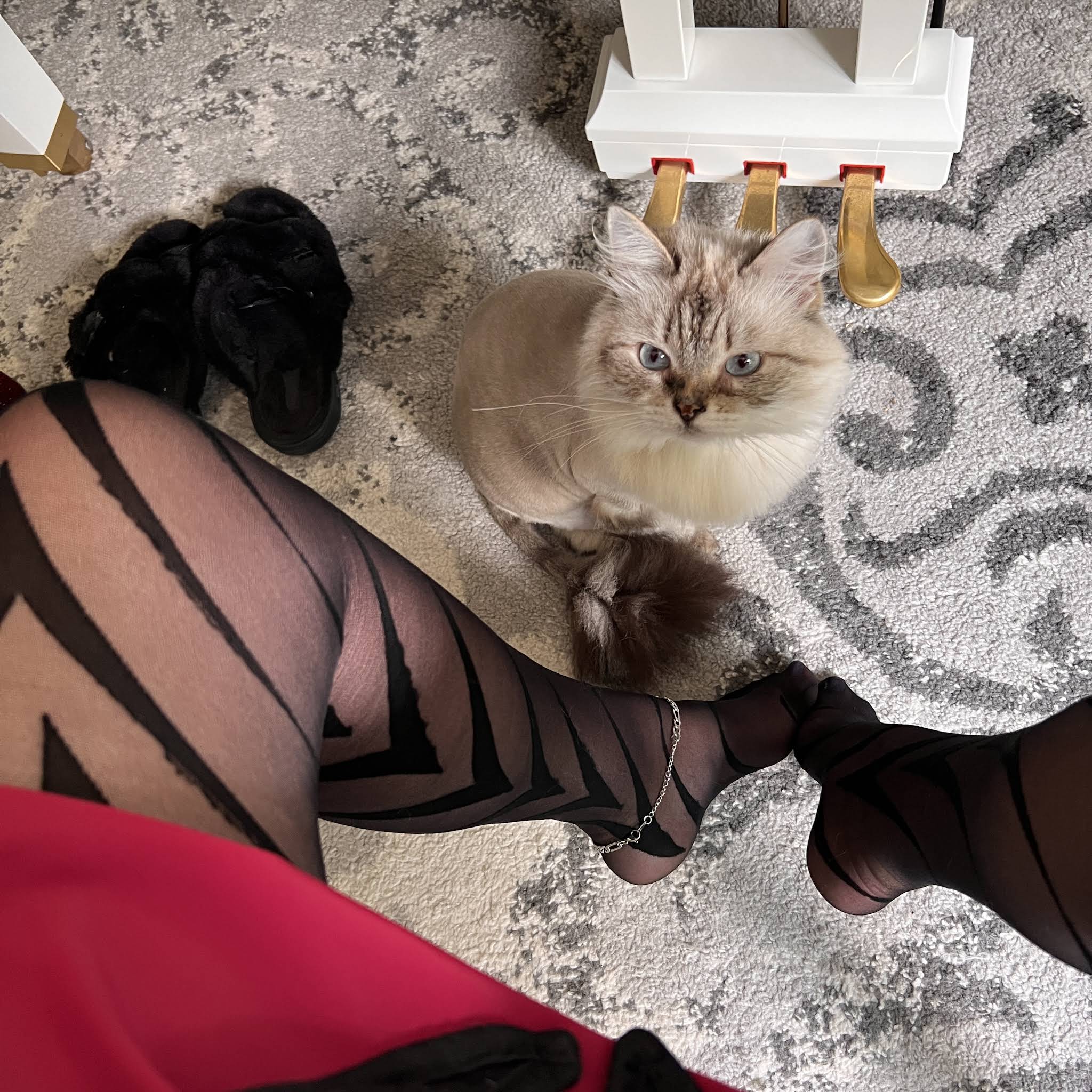 Post from Nylons ROCK