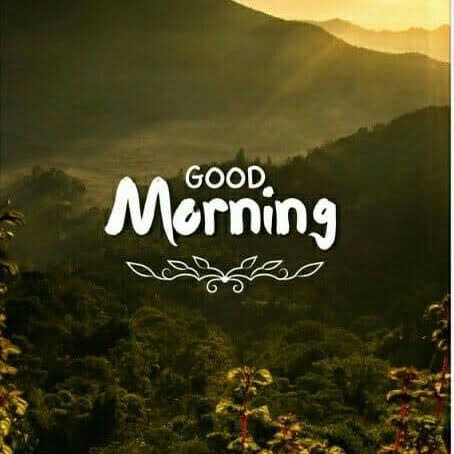 Post from Lighting their way home