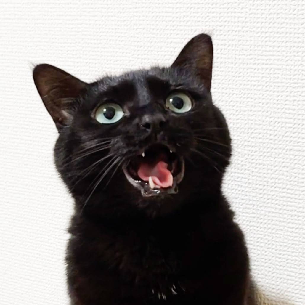 Post from Samoji & Hotane 's Daily Life