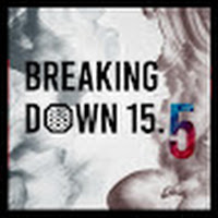 Poll from 【公認】ちょっとした一息にブレイキングダウン\BREAKINGDOWN【切り抜き】