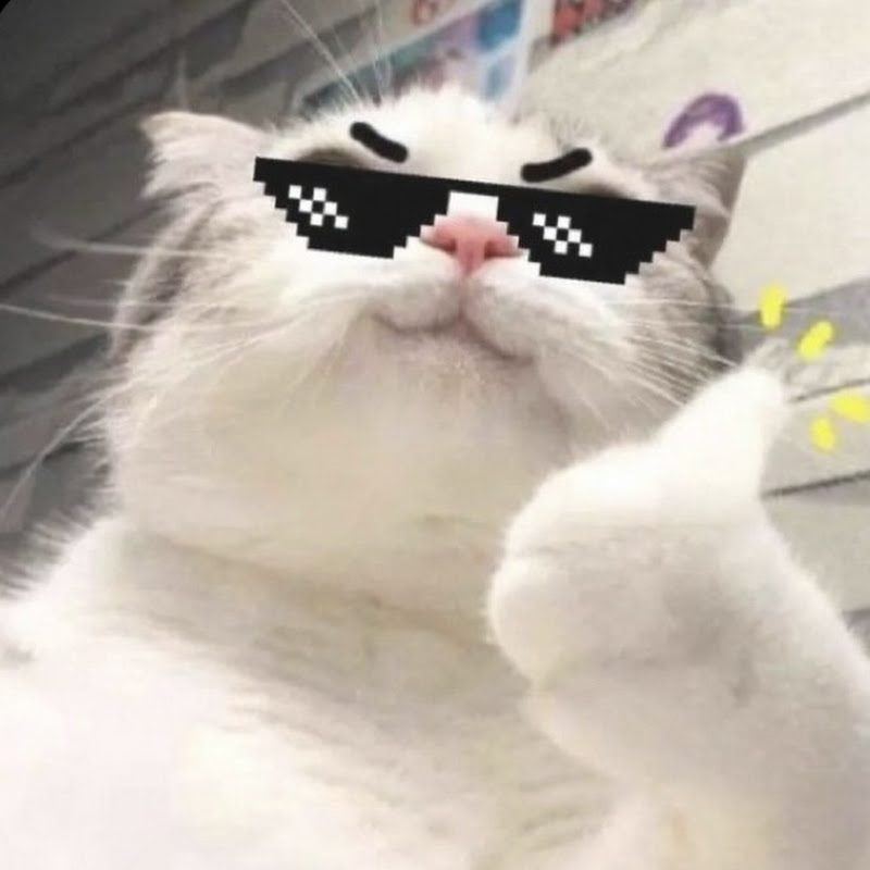 SportyJay Realtime YouTube Live Subscriber Counter 🔥 — Livecounts.io