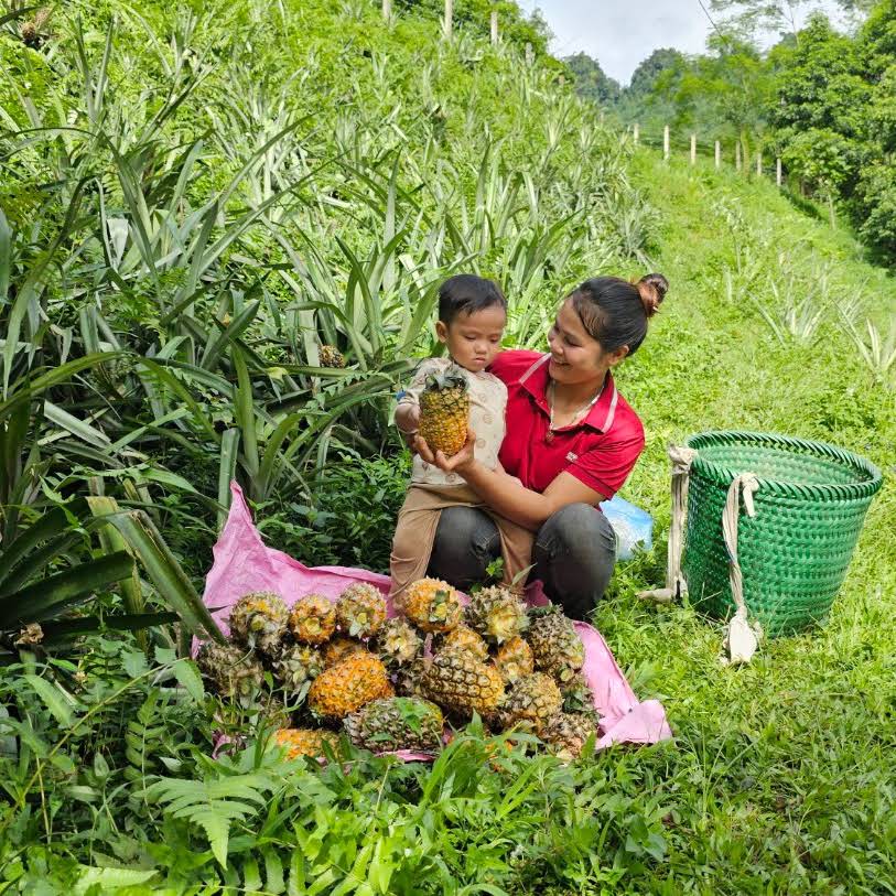 Post from Tiên Single Mom Farm
