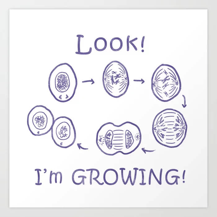 Post from Professor Simms