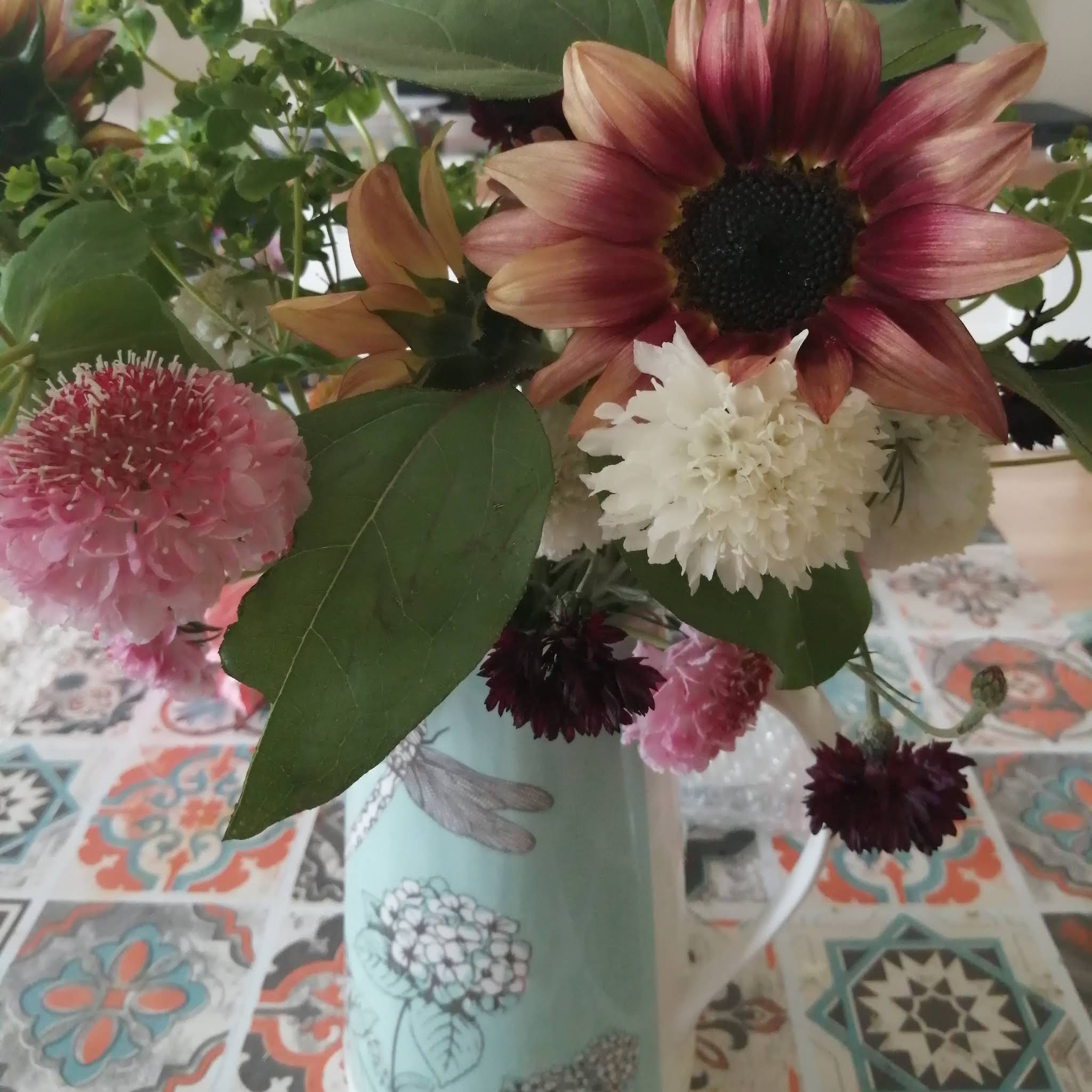 Post from Frugal Lizzy Bee