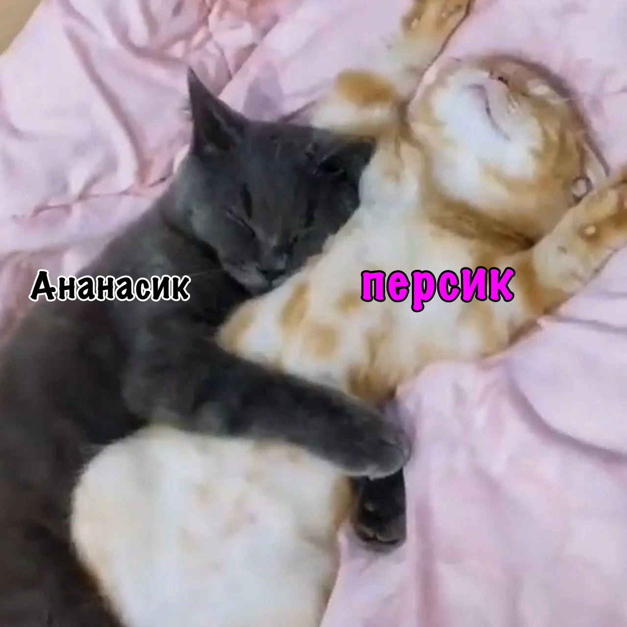 Post from ∙𝙾𝚋𝙻𝚘𝚔𝙾_𝟷𝟹𝙺𝙰𝙿𝚃∙
