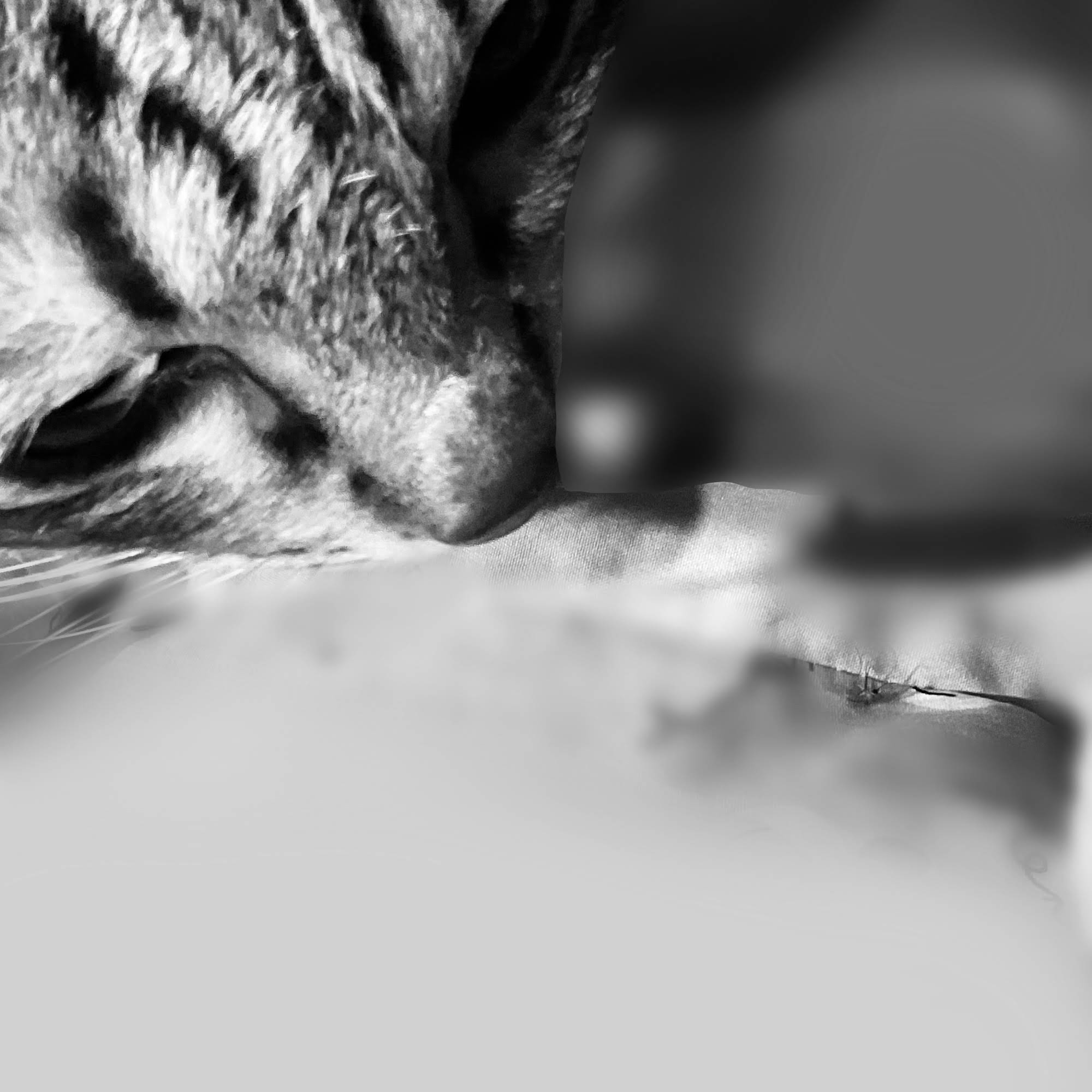 Post from Listen Ch.【ARP】