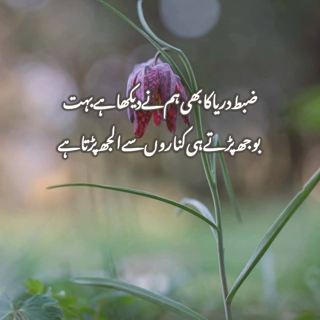 Post from Islam Beauty