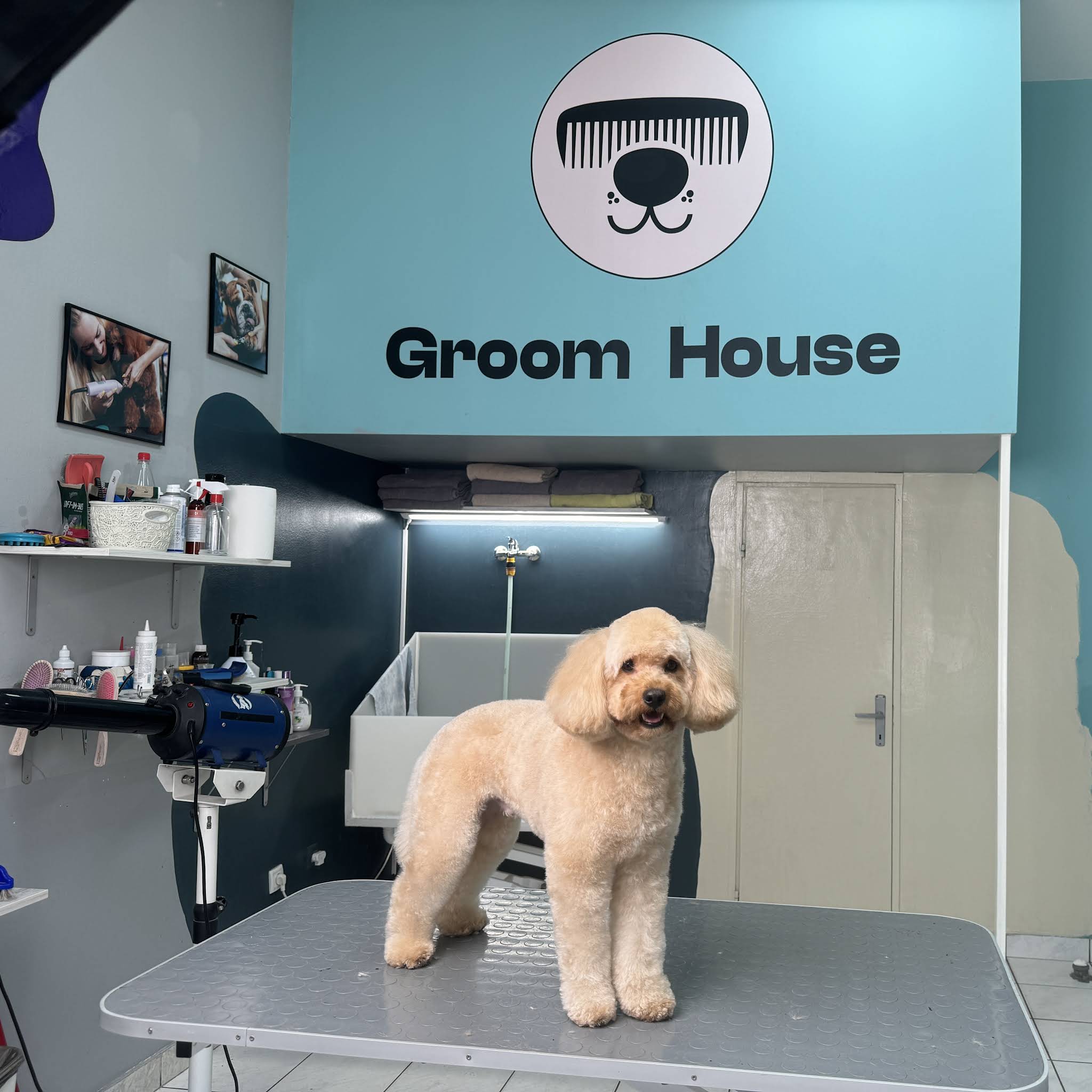Post from Groom House