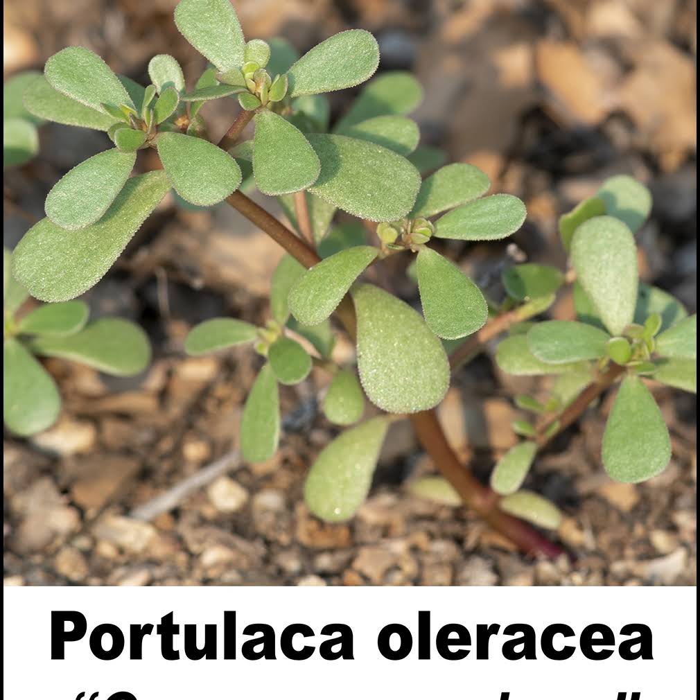 Post from Chad Zuber