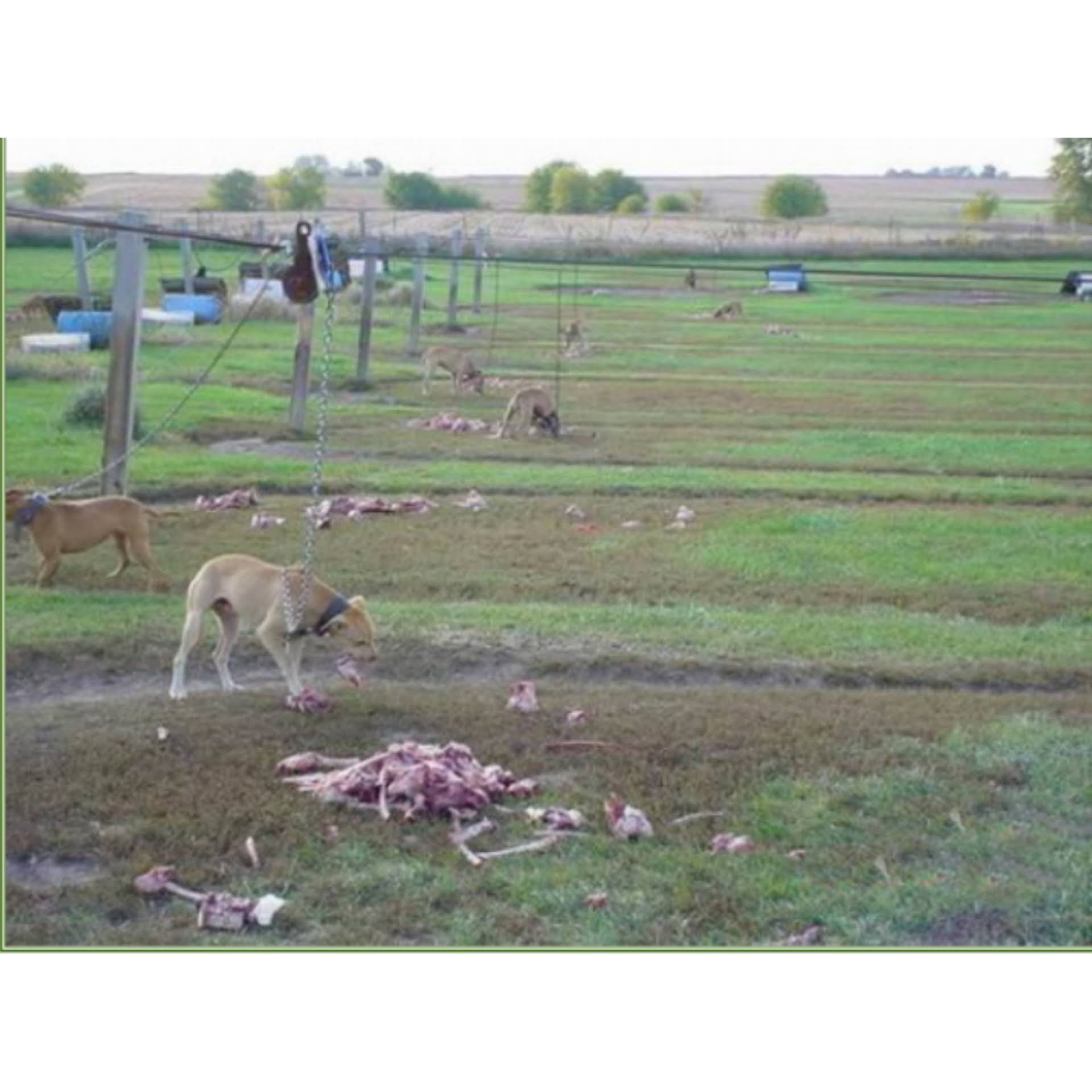 Post from Texas Scratch King