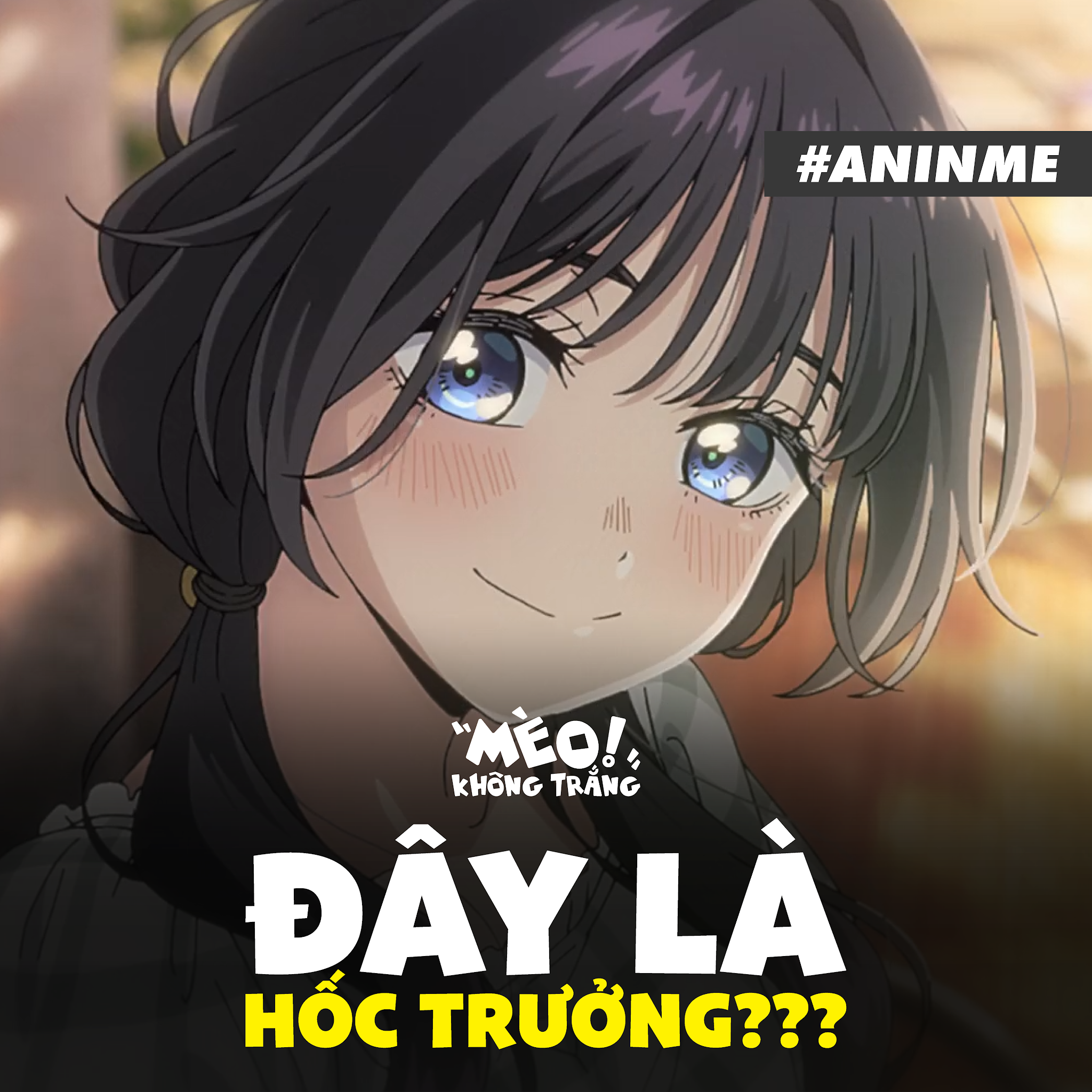 Post from Mèo Không Trắng