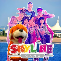 Poll from Skyline Gang edits