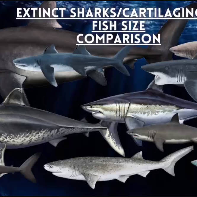 Post from Dizzy Rose