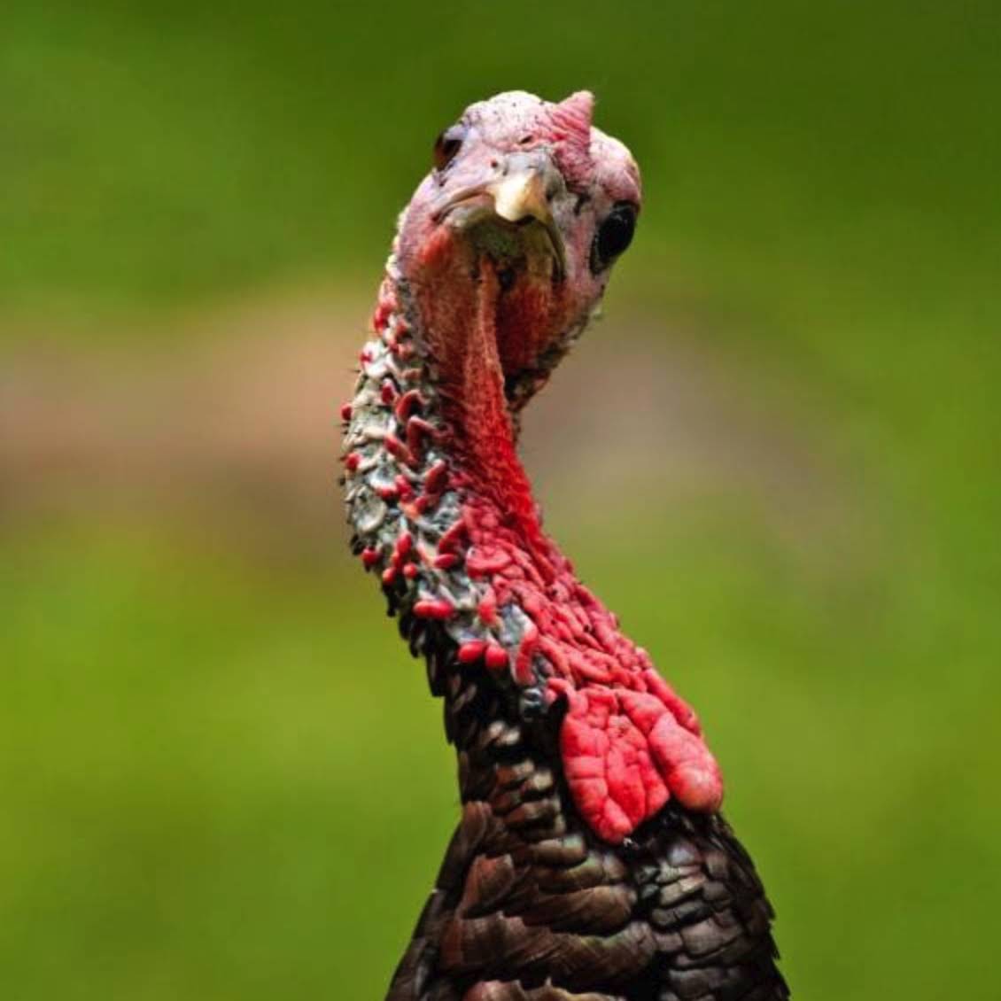 Post from Theoria Apophasis