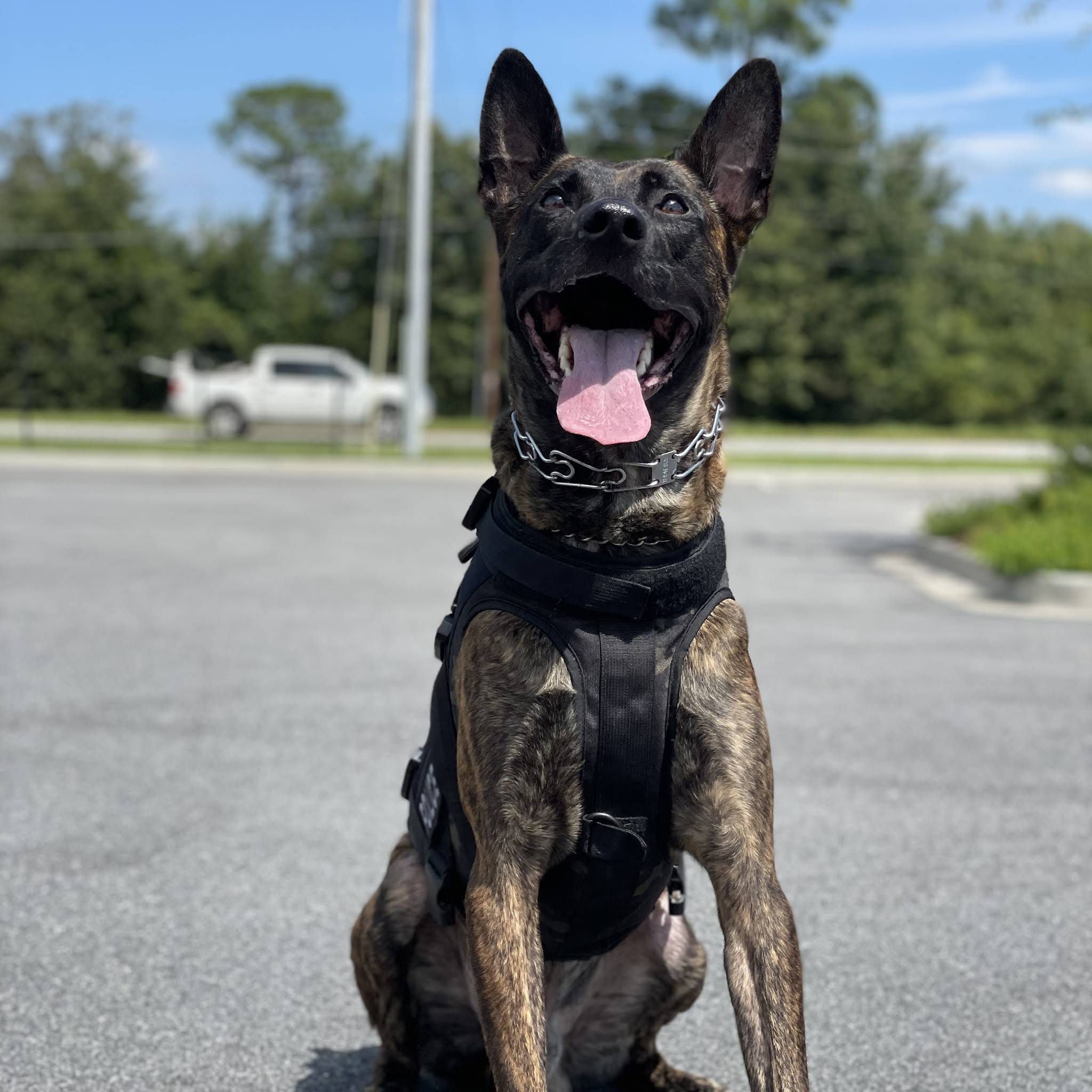 Post from Georgia Police K9 Foundation