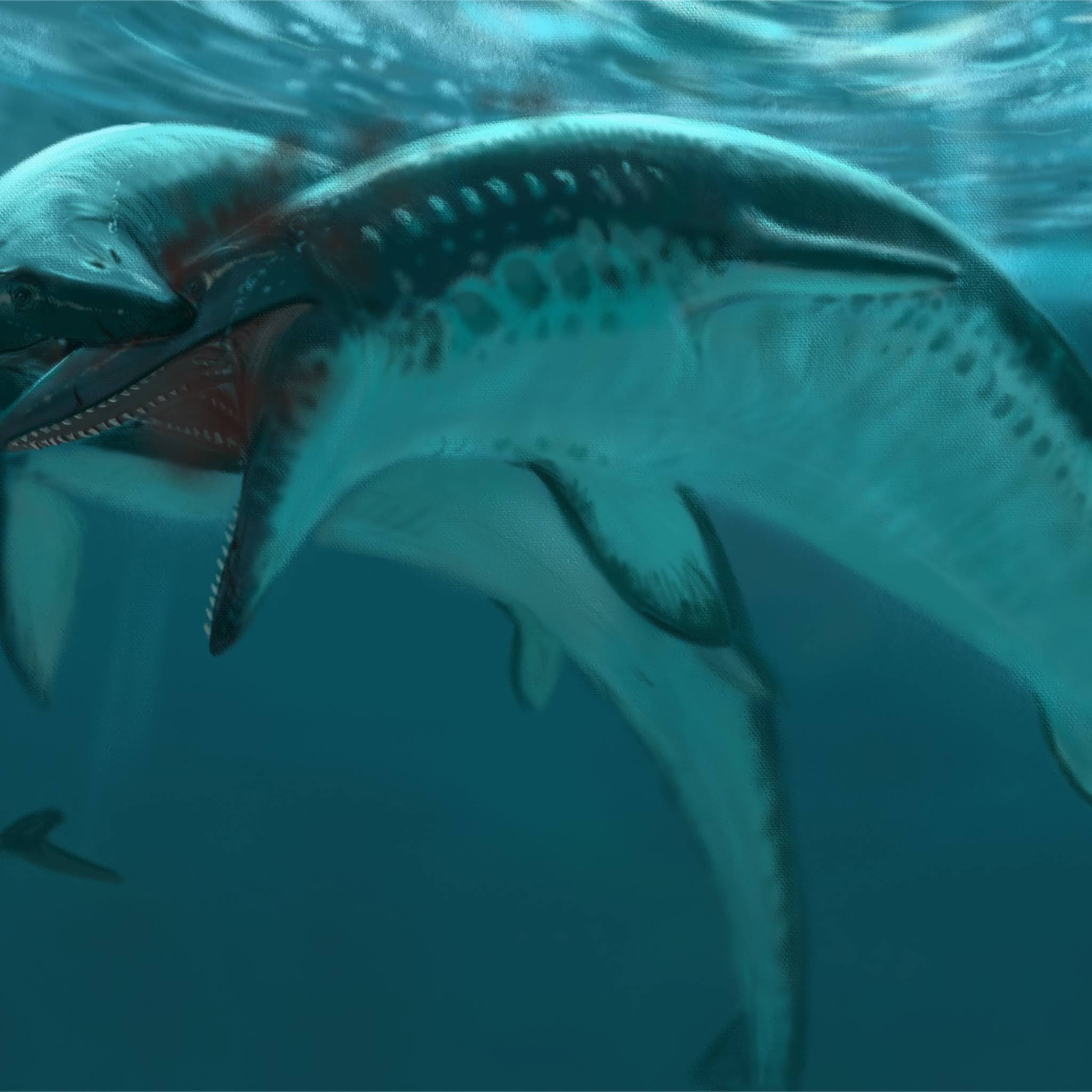 Post from Dizzy Rose