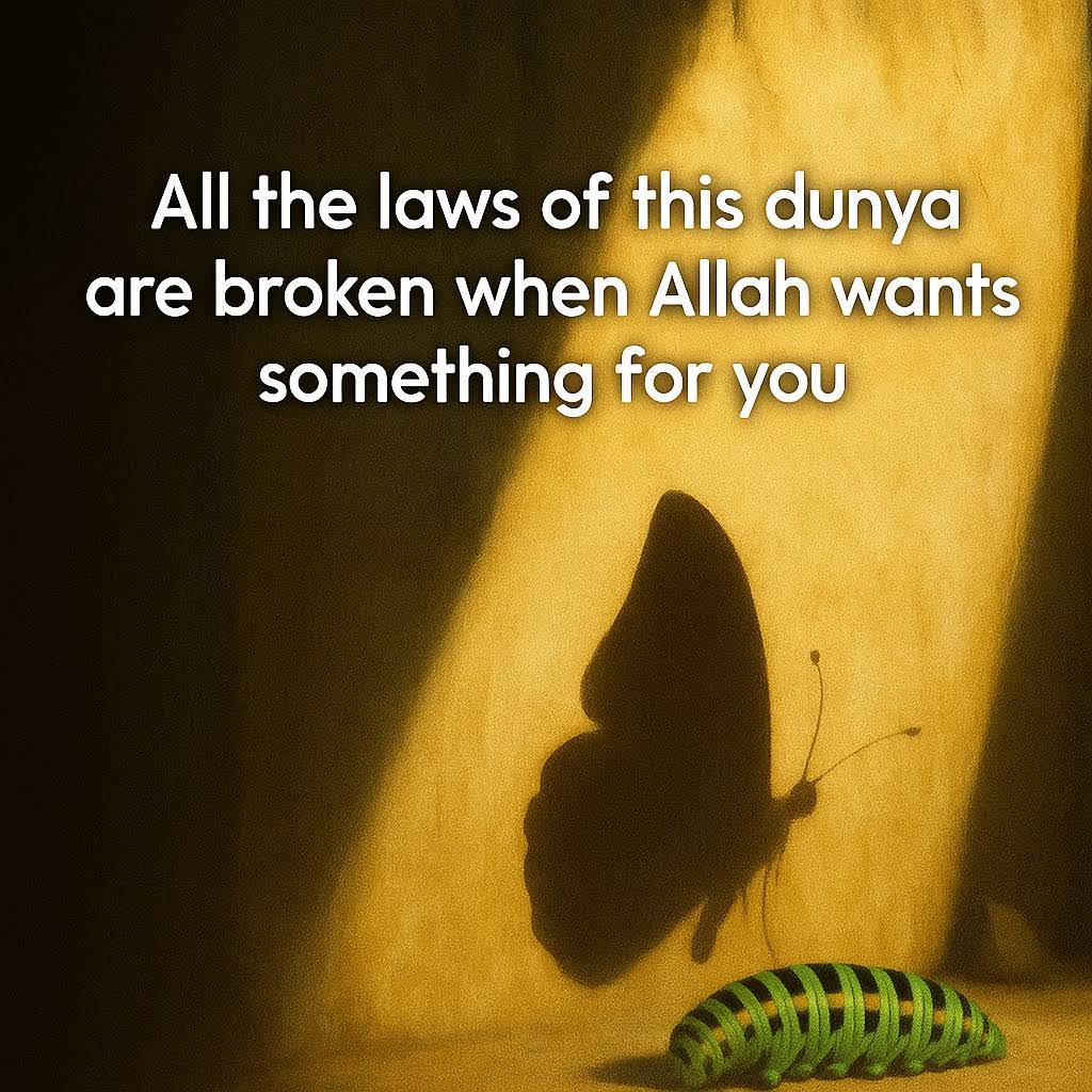 Post from Eternal Passenger