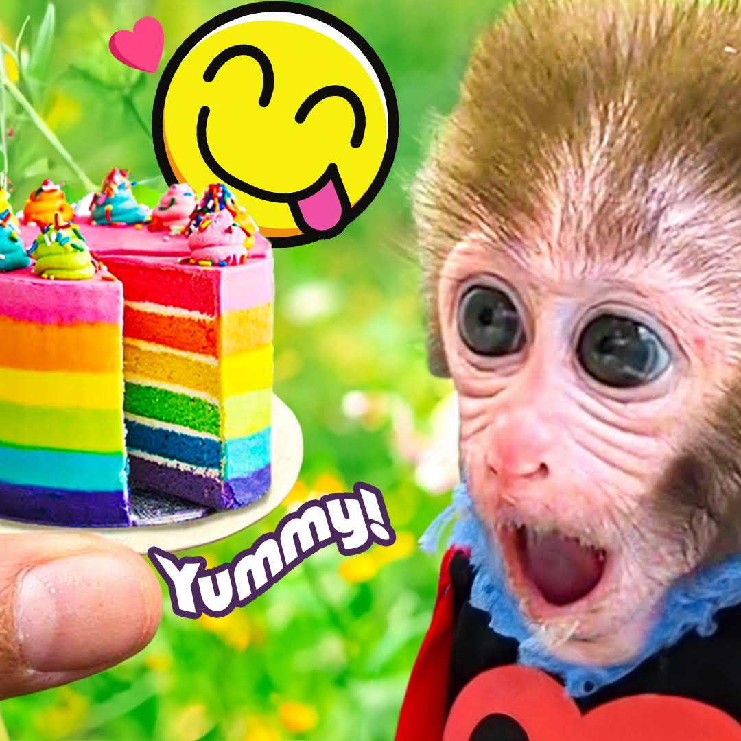 Post from Animal HT and Friends