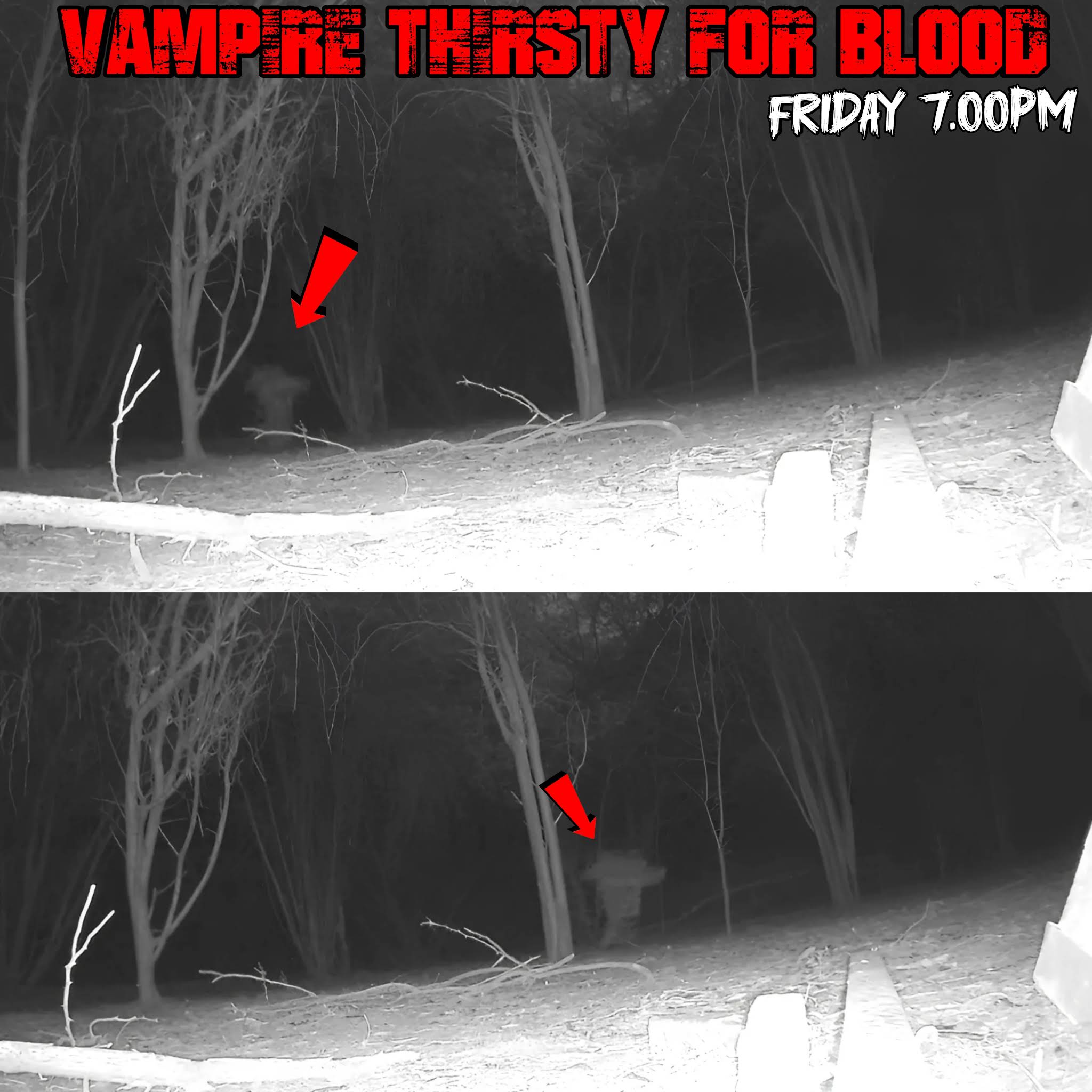 Post from GHOST PREDATOR