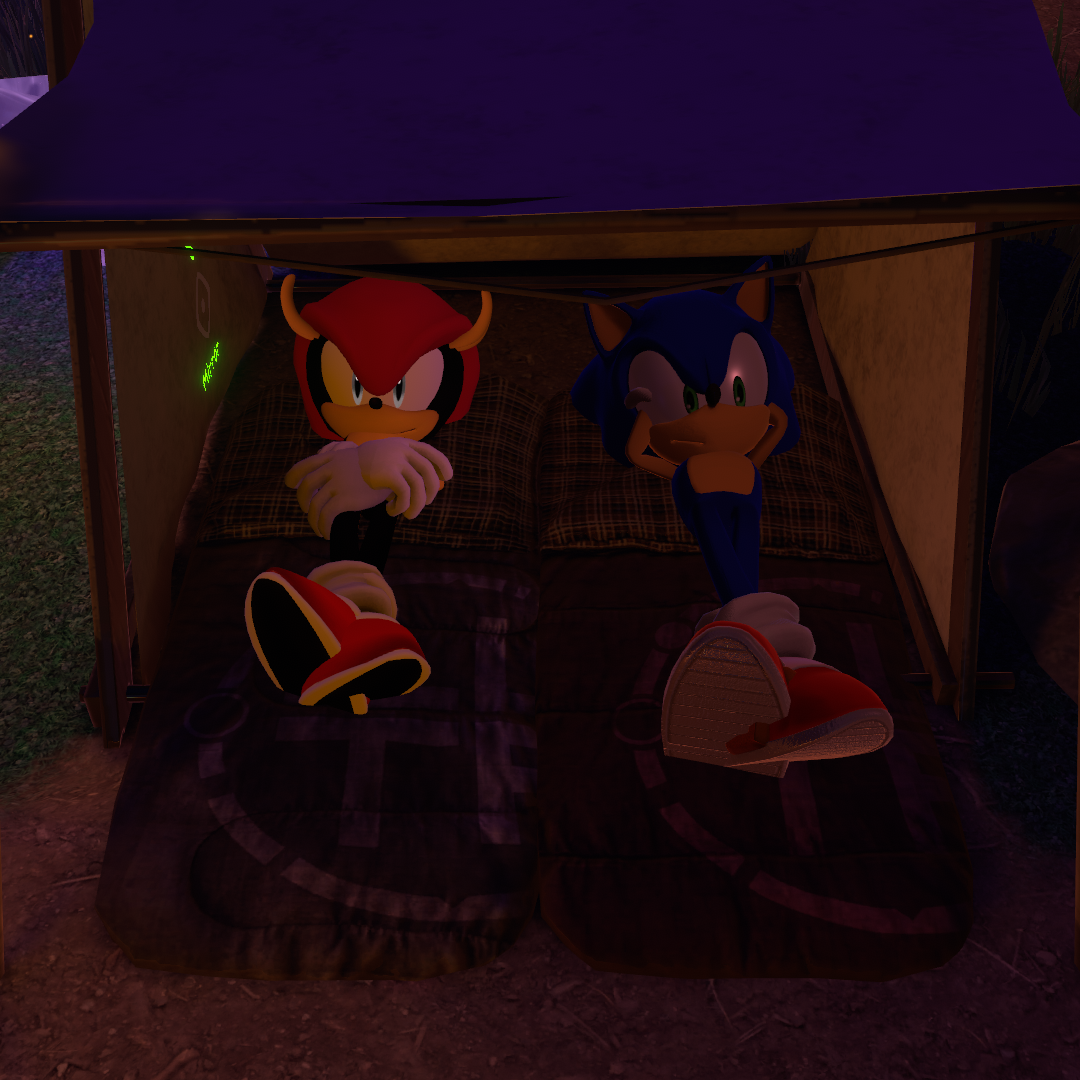 Post from Sonic Speed Network