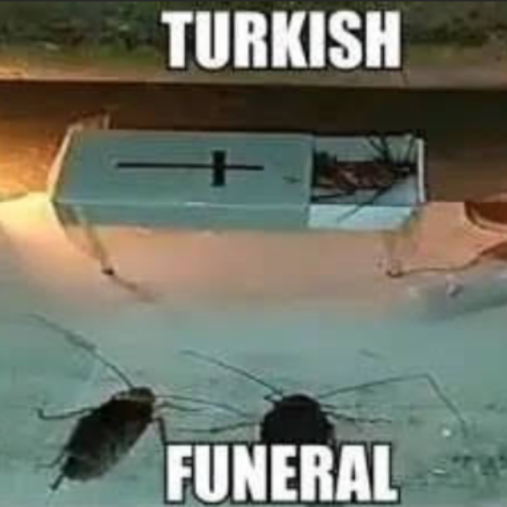 Post from Ace Animations