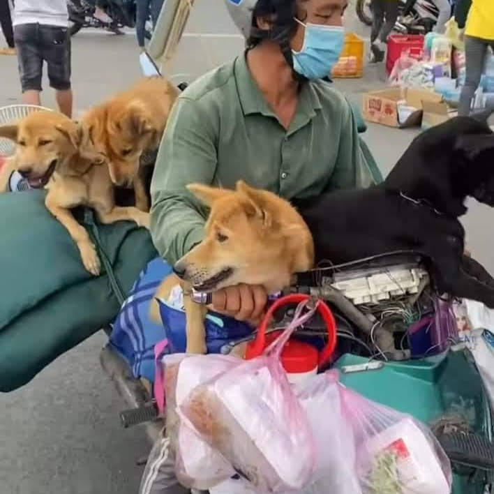 Post from LISA PHAM Official