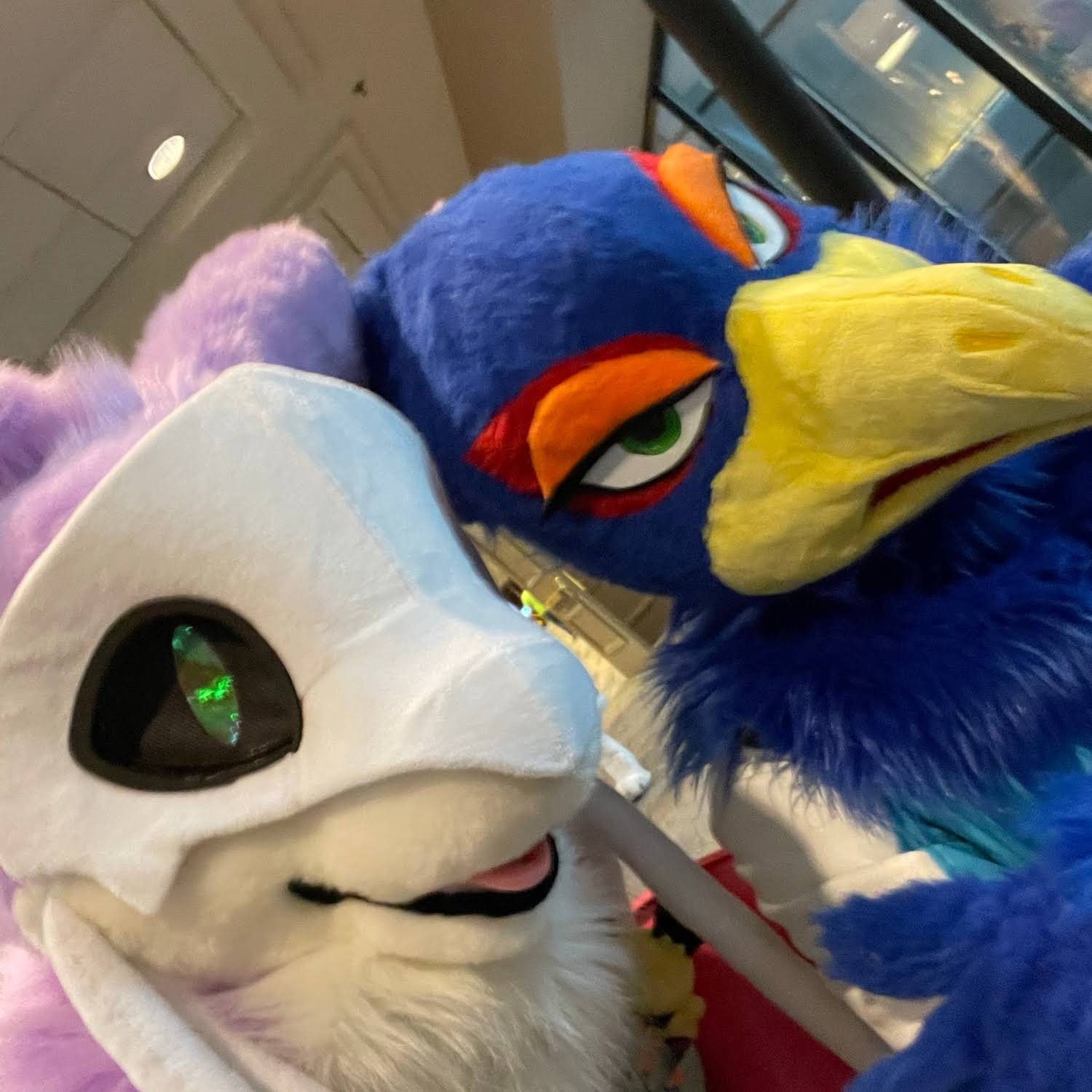 Post from MarceCatfish